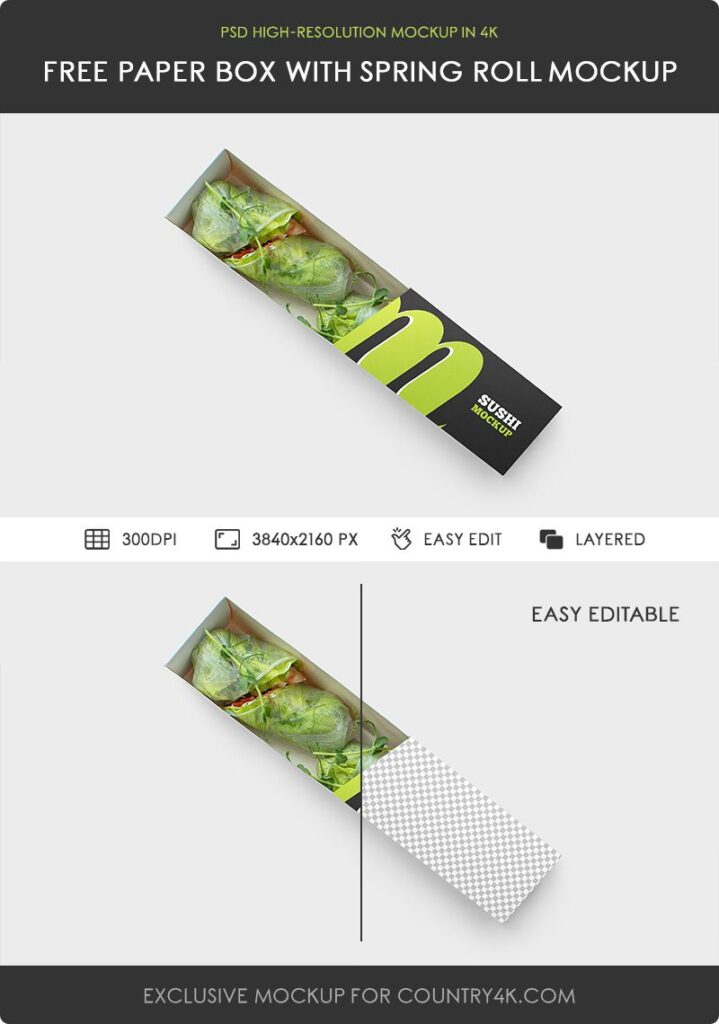 Paper Box with Spring Roll - Free Mockup PSD - Country4k